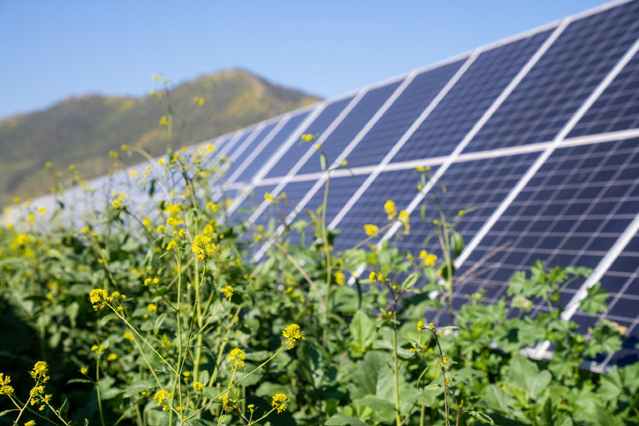 Atlas Renewable Energy and ODATA Partner to Drive the Data Center ...